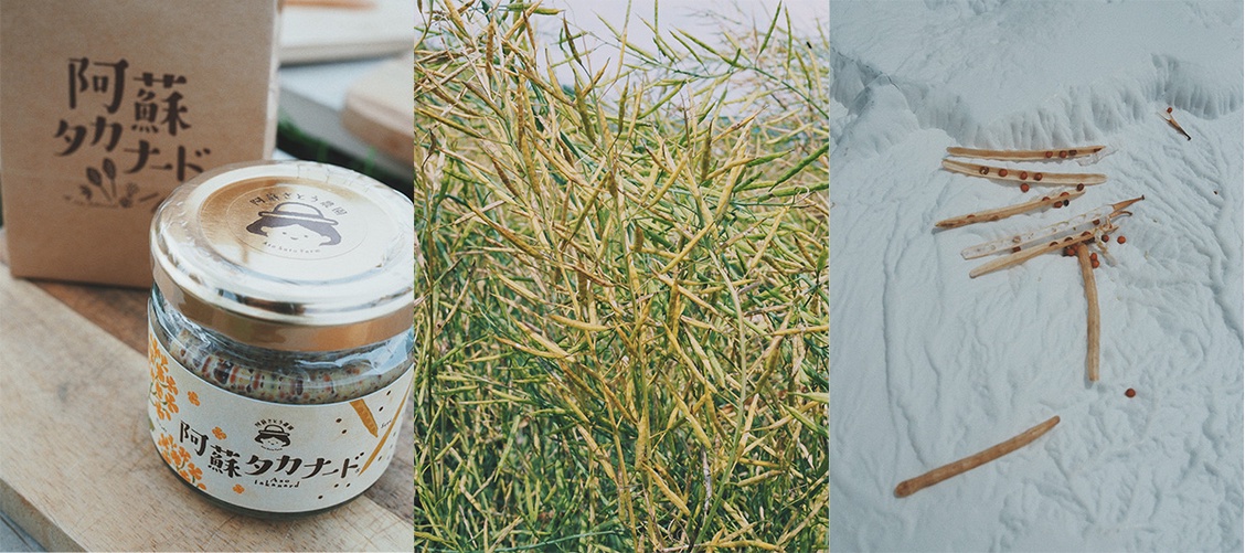 阿蘇さとう農園 | Aigle Blog